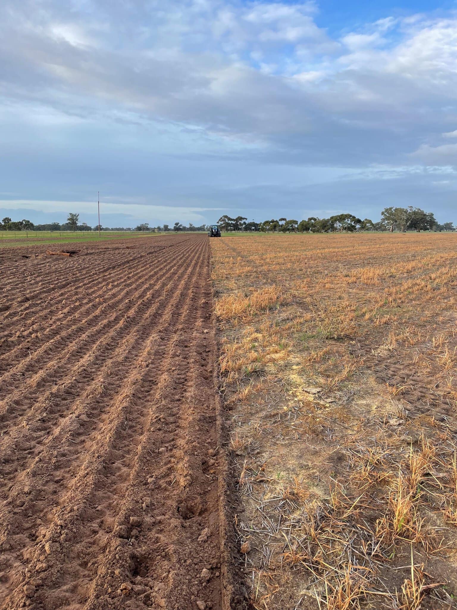 Increasing production on sandy soils in low and medium rainfall areas ...