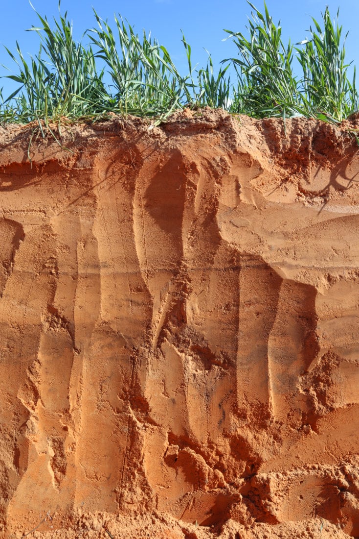 Increasing production on sandy soils in low and medium rainfall areas ...