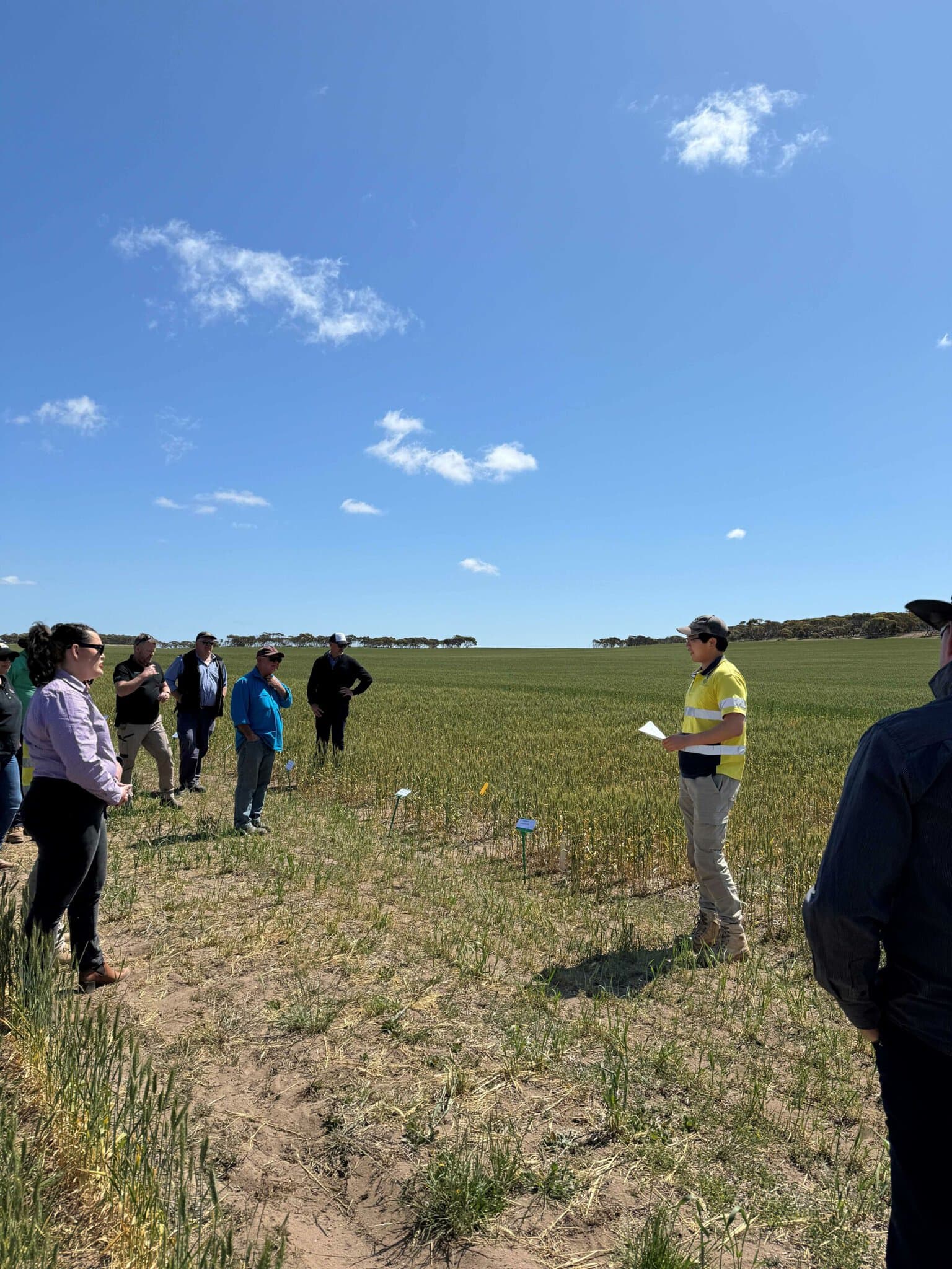 De-risking the seeding program 2024 | AIR EP