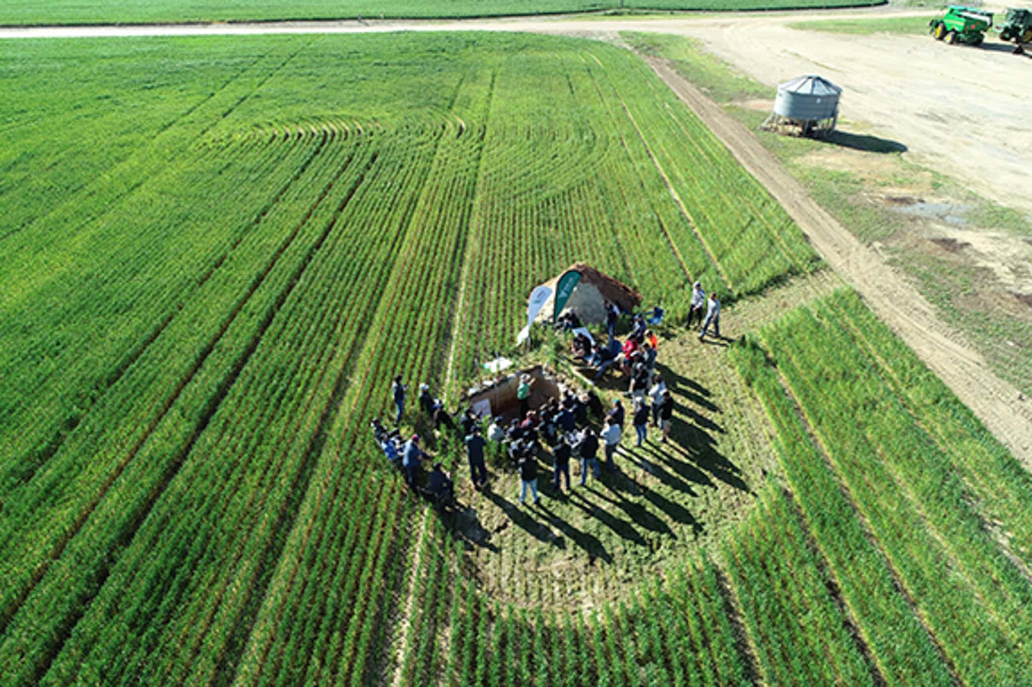 Virtual soil pits give EP farmers a deeper understanding of sandy soils ...